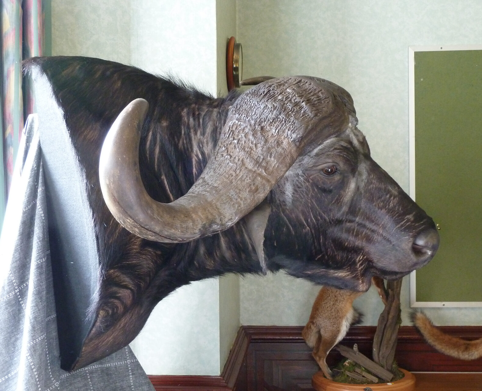 Conference 2012 - Guild of Taxidermy