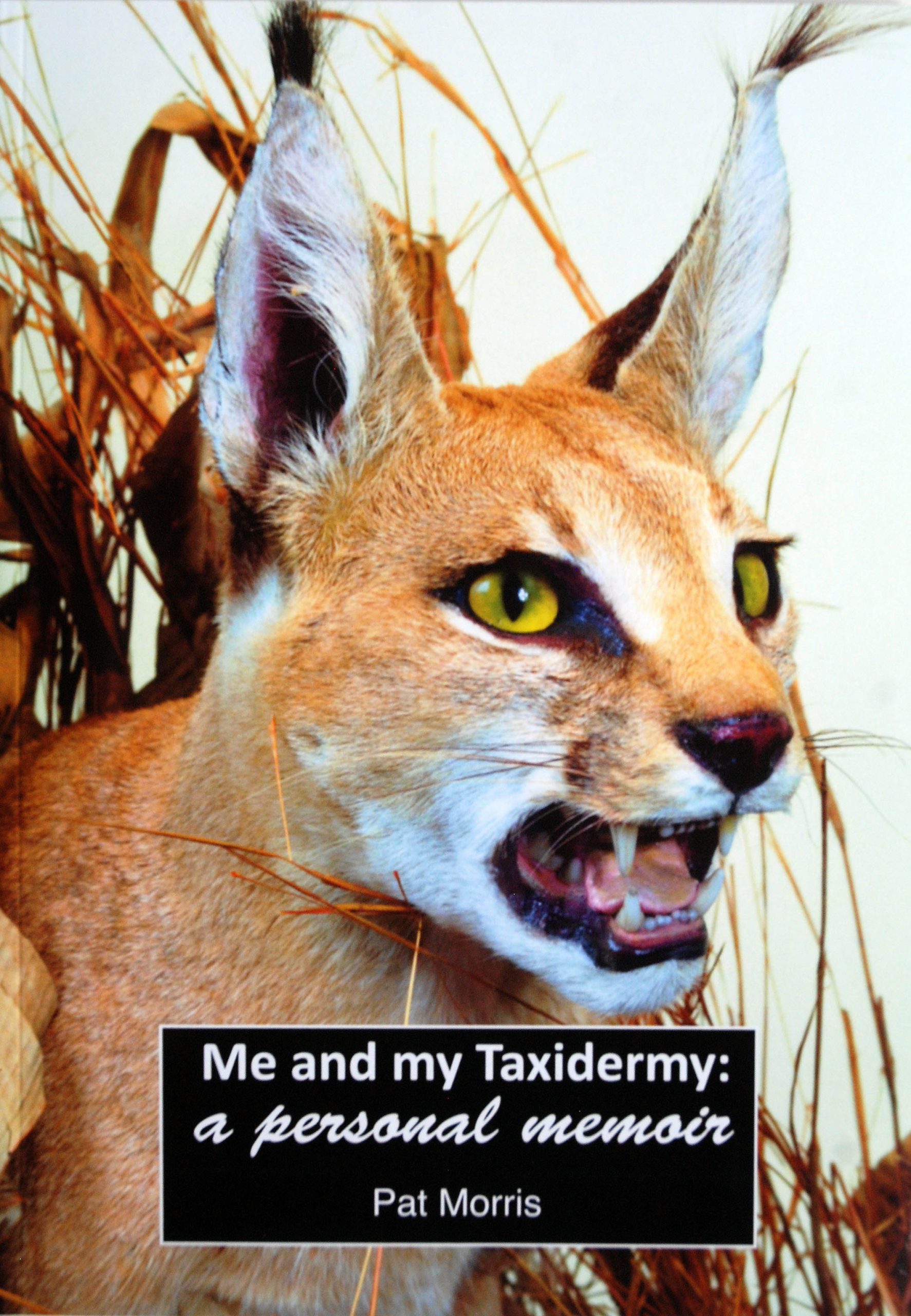 Pat Morris - Guild of Taxidermy
